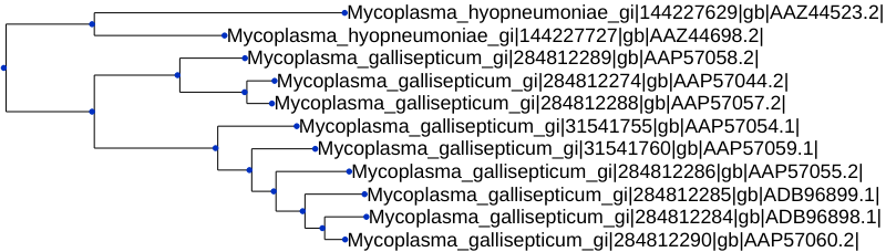 Beginner Tutorial | OrthoFinder